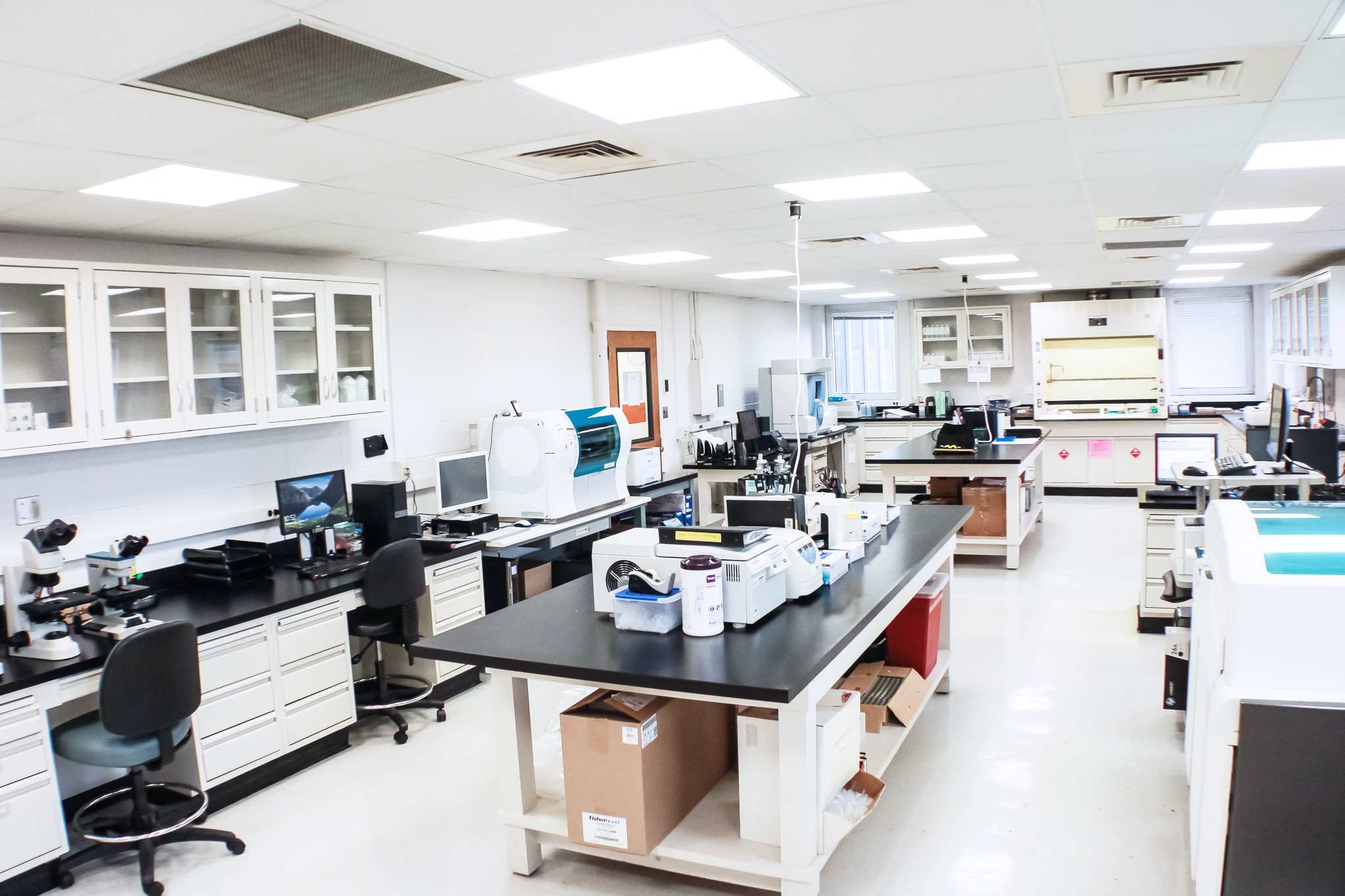 Pathology | Southern Research