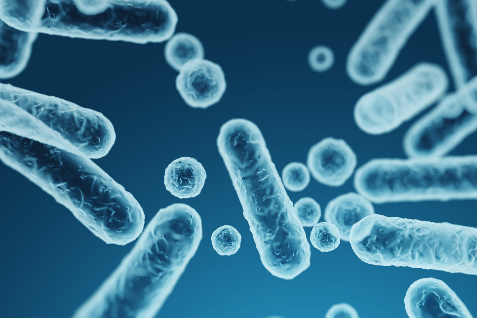 Infectious Disease Research | Southern Research