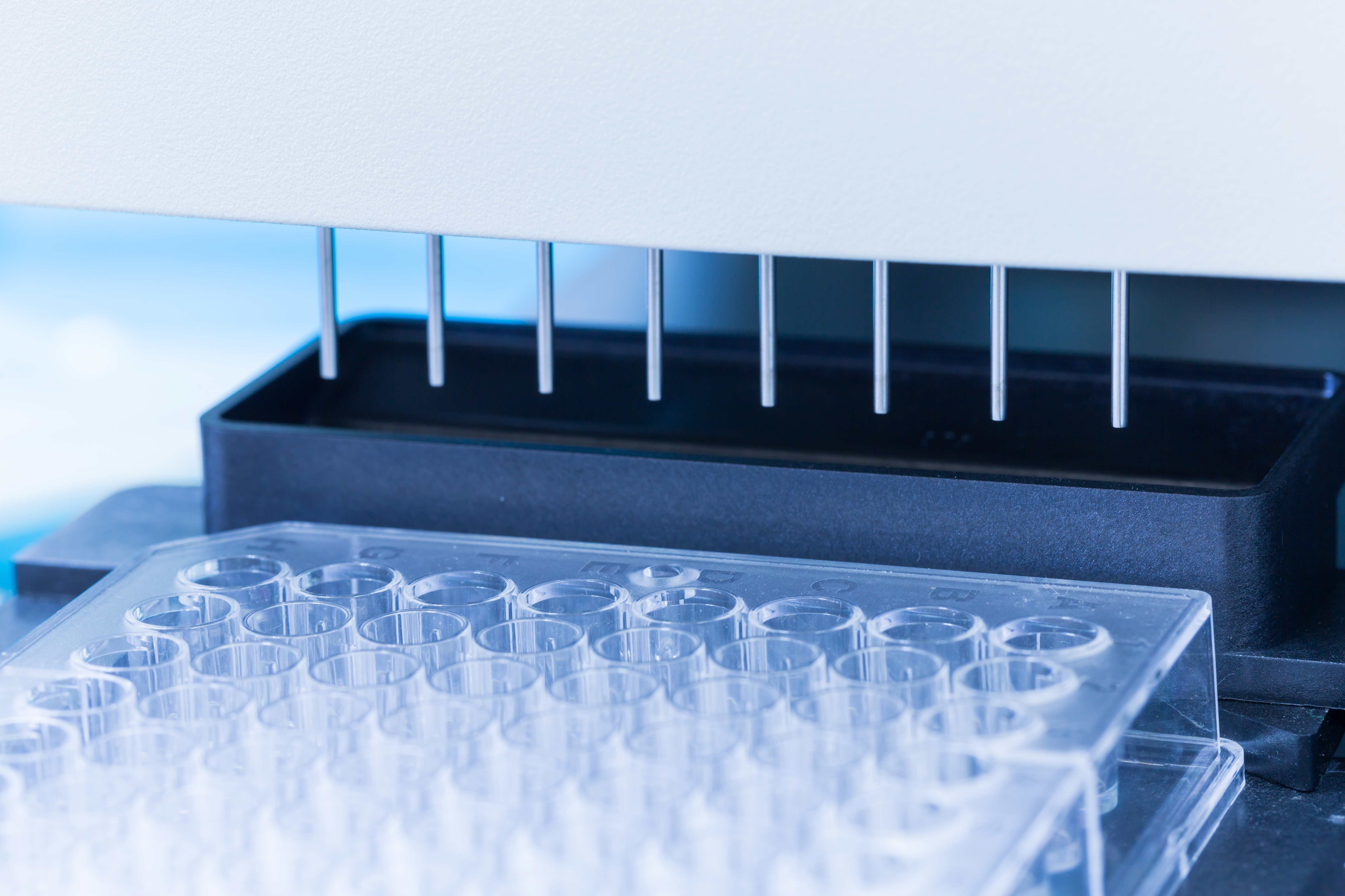 High-Throughput Screening & Discovery | Southern Research