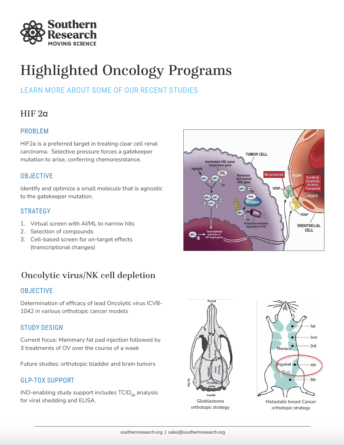 Highlighted Oncology Programs | Southern Research